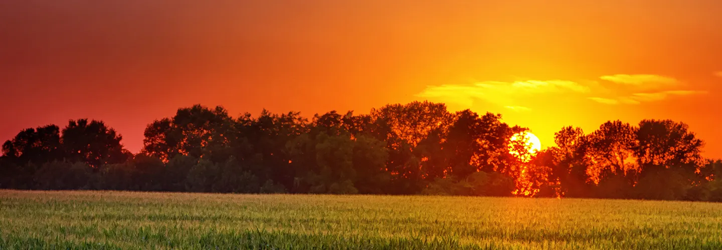 The view of a field at sunset.